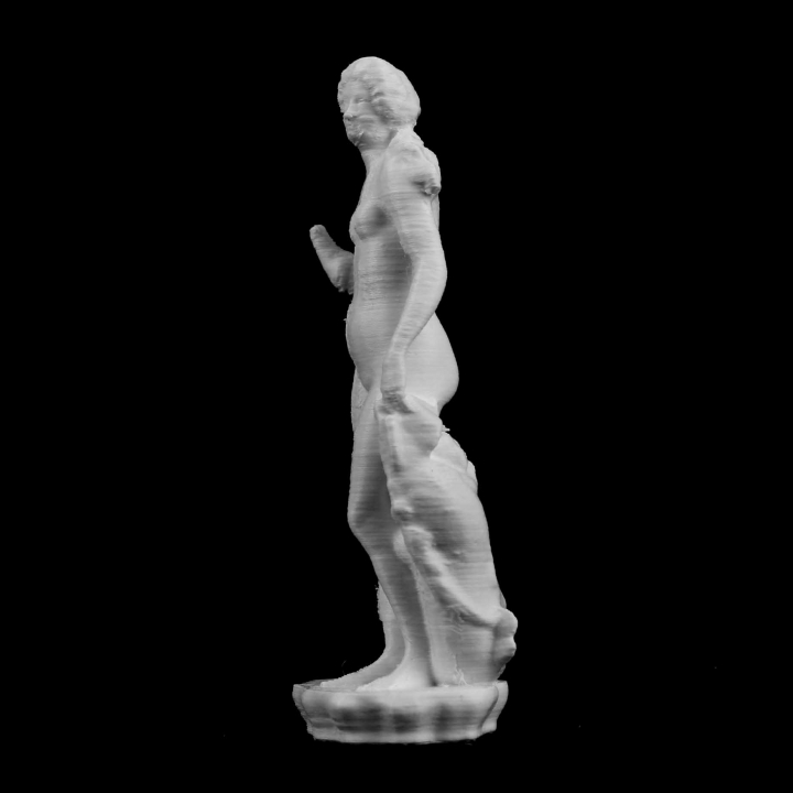 3D Printable Venus with Conch in Warandepark, Brussels by Scan The World