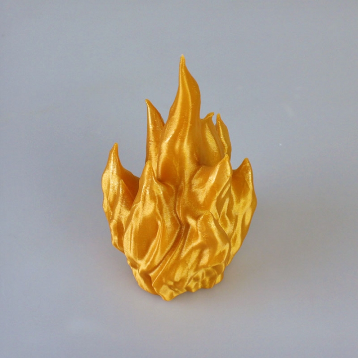 3D Printable FIRE! by Ricardo Salomao