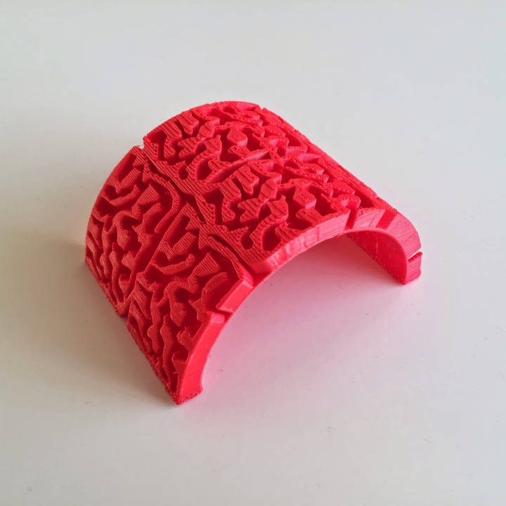 3D Printable Brain Curve by David Mussaffi