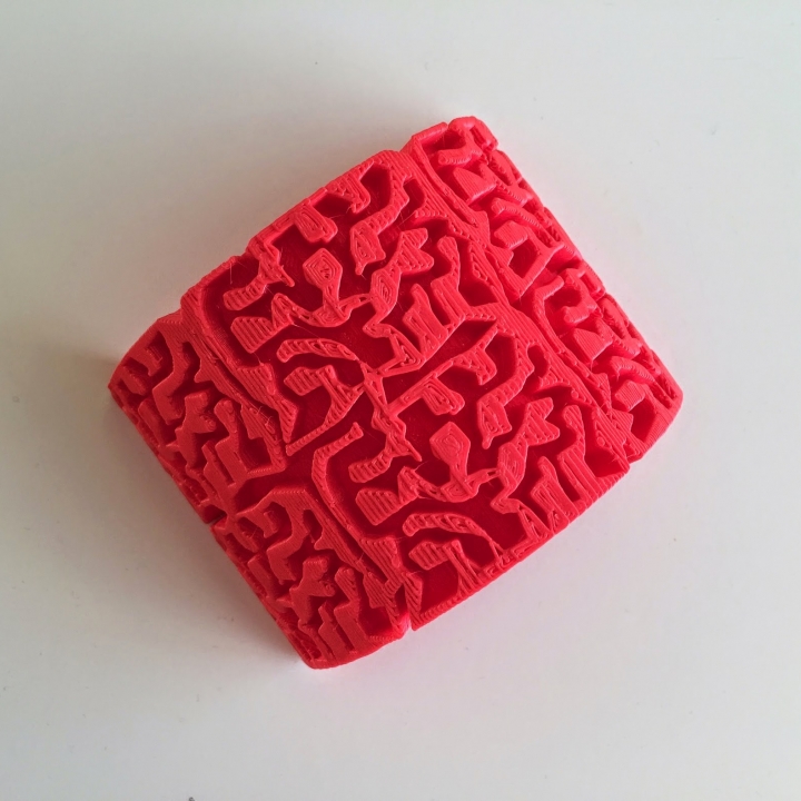 3D Printable Brain Curve by David Mussaffi