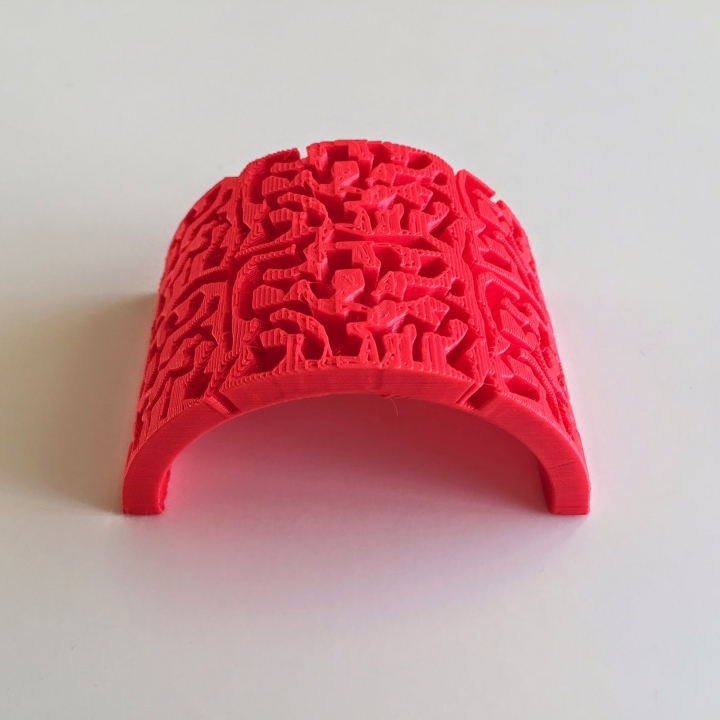 3D Printable Brain Curve by David Mussaffi