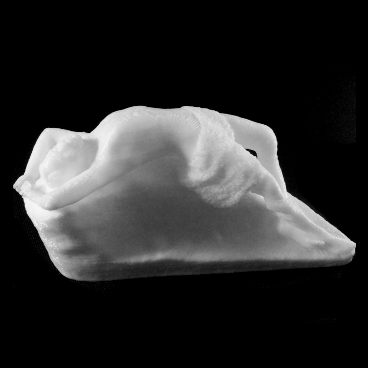 3D Printable The Dead Pearl Diver in Portland Museum of Art, Maine by ...