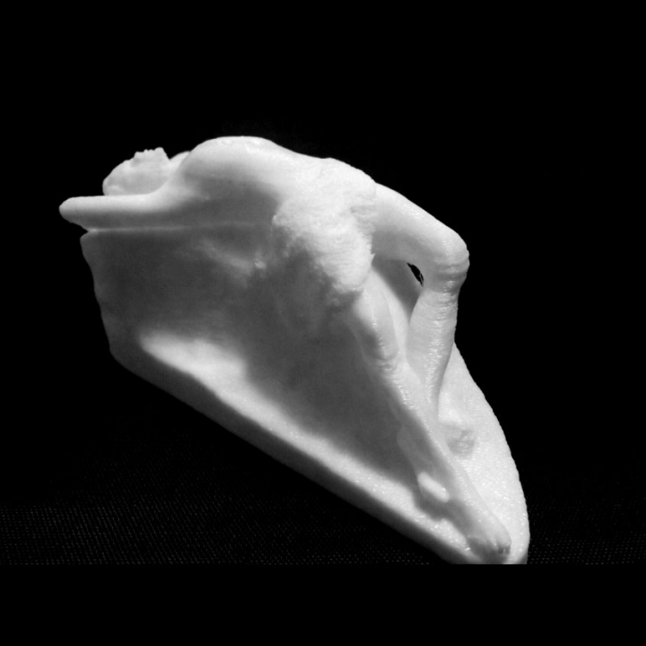 3D Printable The Dead Pearl Diver in Portland Museum of Art, Maine by ...