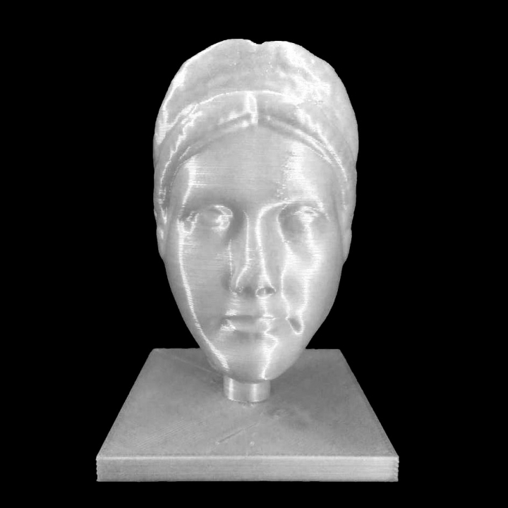 3D Printable Marble Portrait of Matidia at The Metropolitan Museum of ...
