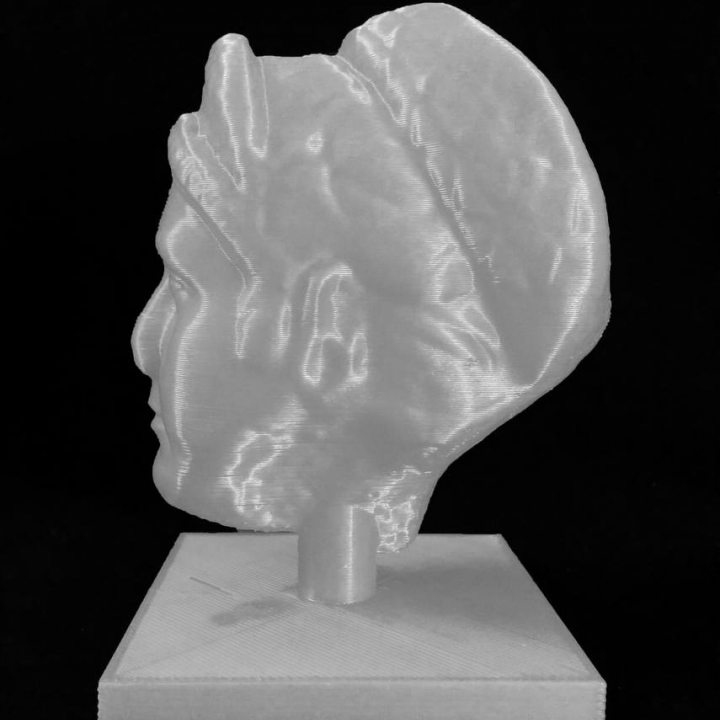3D Printable Marble Portrait of Matidia at The Metropolitan Museum of ...