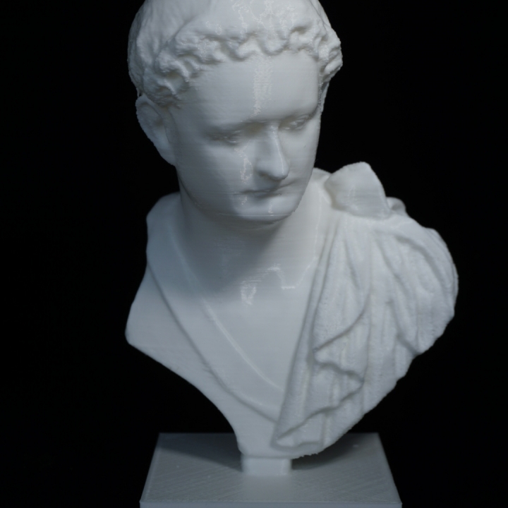 3D Printable Portrait bust of Emperor Domitian at The Metropolitan ...