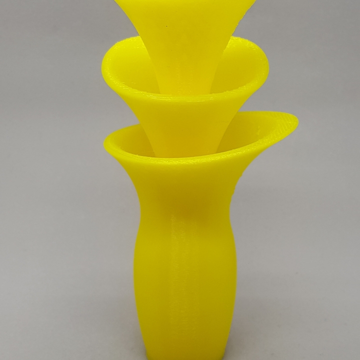 3D Printable Flower Vase by william