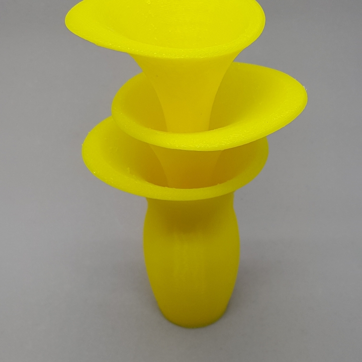 3D Printable Flower Vase by william