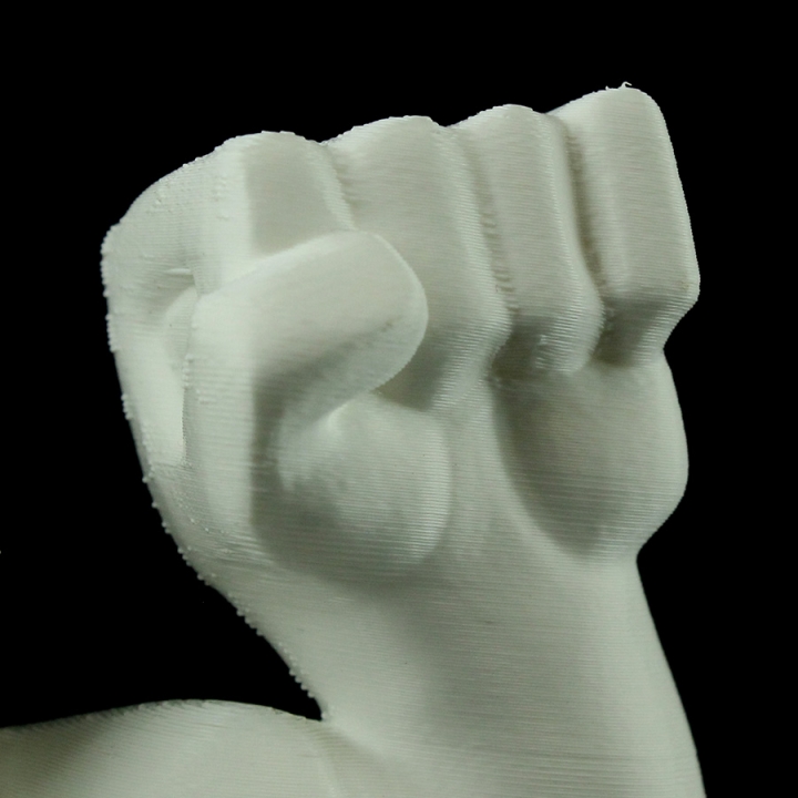 3D Printable Wreck-It Ralph Print & Paint Toy - Support Free by Evavoo