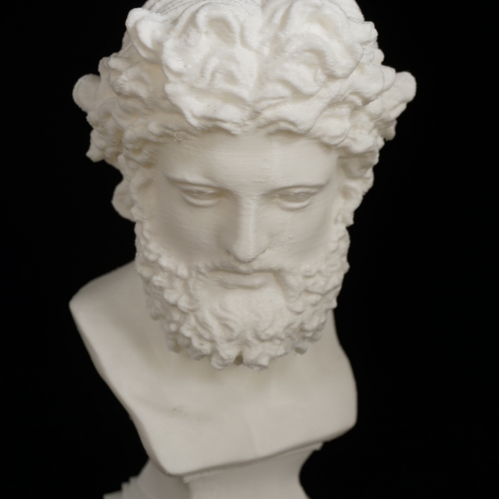 3D Printable Bust of Zeus at The Réunion des Musées Nationaux, Paris by RMN