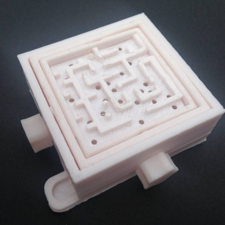 3D Printable Labyrinth by william