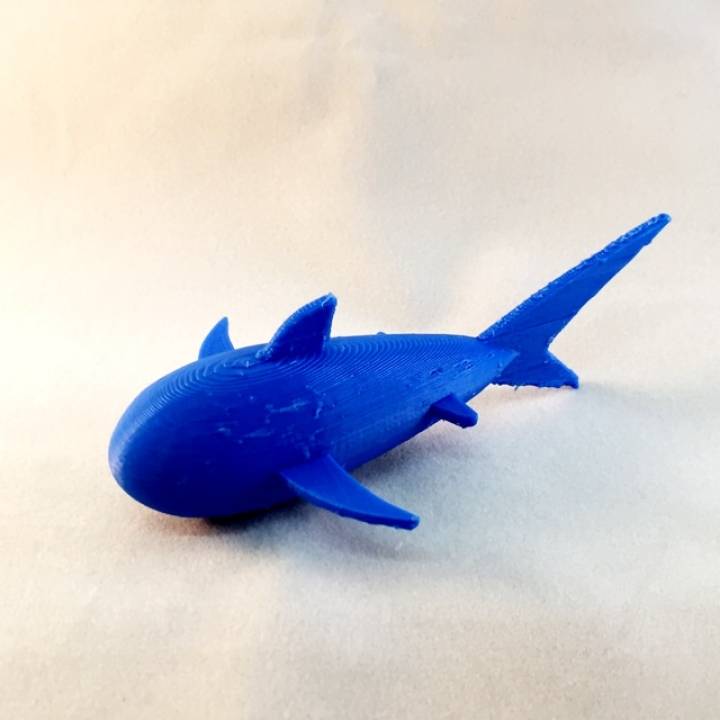 3D Printable Shark by Matt by Gravity Sketch