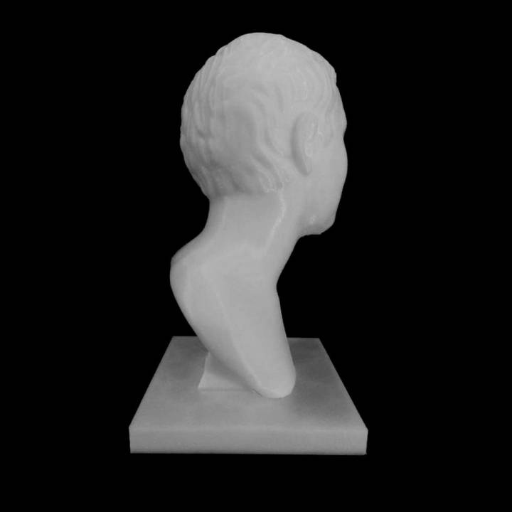 3D Printable Unknown Bust 2 at The Louvre, Paris by Scan The World