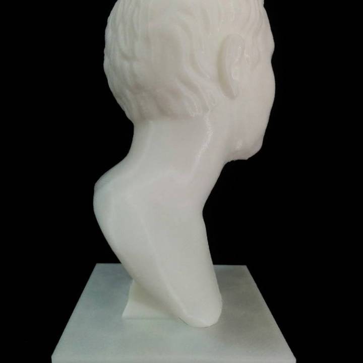 3D Printable Unknown Bust 2 at The Louvre, Paris by Scan The World