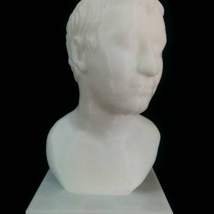 3D Printable Unknown Bust 2 at The Louvre, Paris by Scan The World