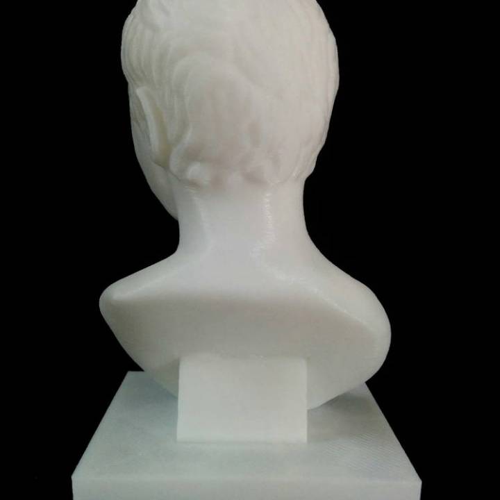 3D Printable Unknown Bust 2 at The Louvre, Paris by Scan The World