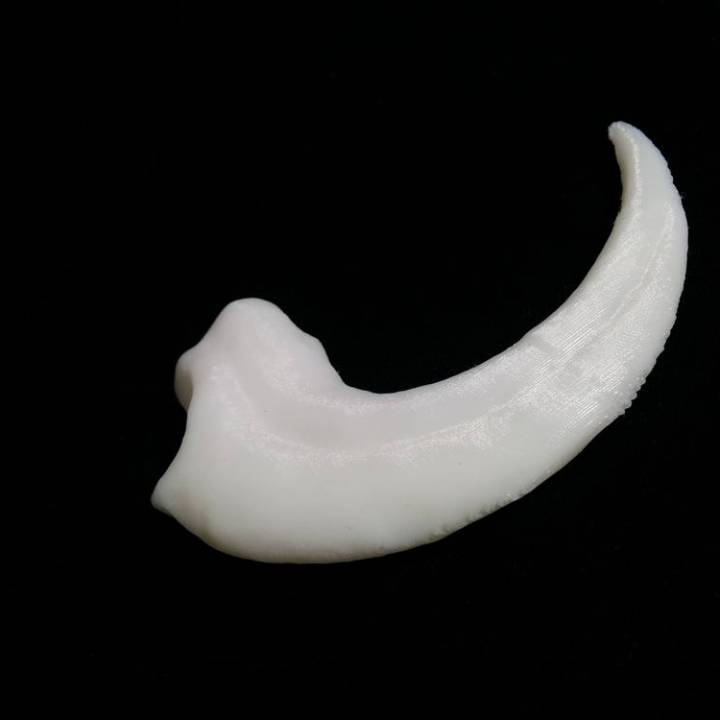 3D Printable Velociraptor dinosaur claw by Juliane Hinz
