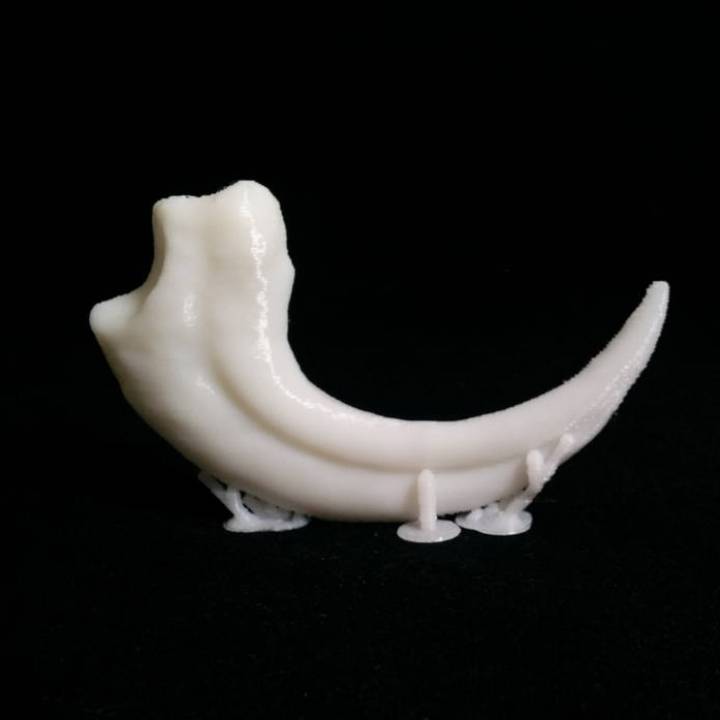 3D Printable Velociraptor dinosaur claw by Juliane Hinz