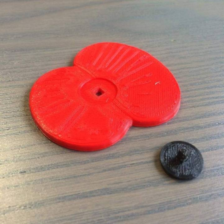 3D Printable Remembrance Day Poppy by Ricardo Salomao