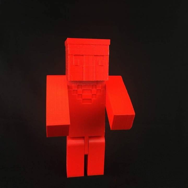 3D Printable Custom Minecraft Character Nunan by Simone Fontana