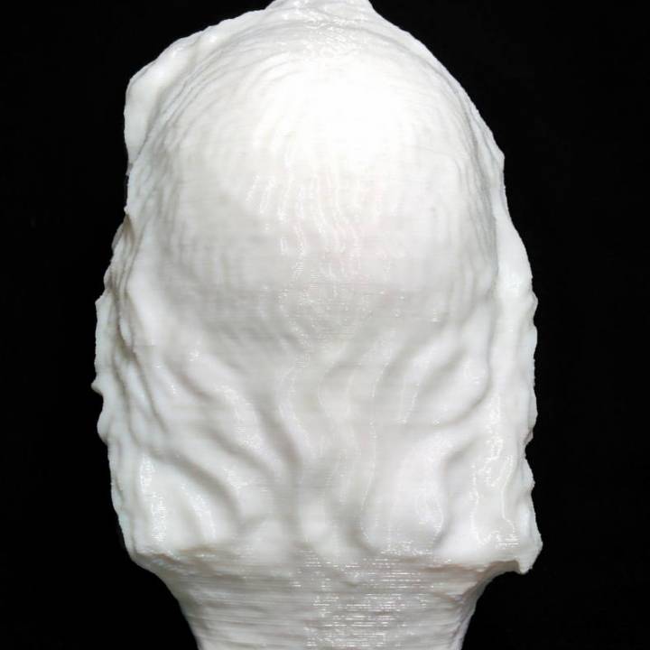 3D Printable Head of Zeus at The Réunion des Musées Nationaux, Paris by RMN