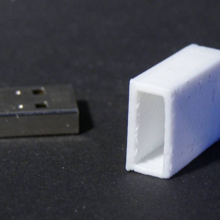 3D Printable USB memory stick holder (larger version) by Trevor Wilkinson