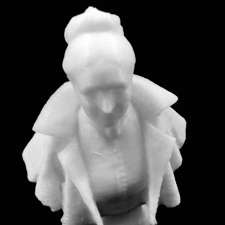 3D Printable Mary Harris Thompson at The Art Institute of Chicago ...