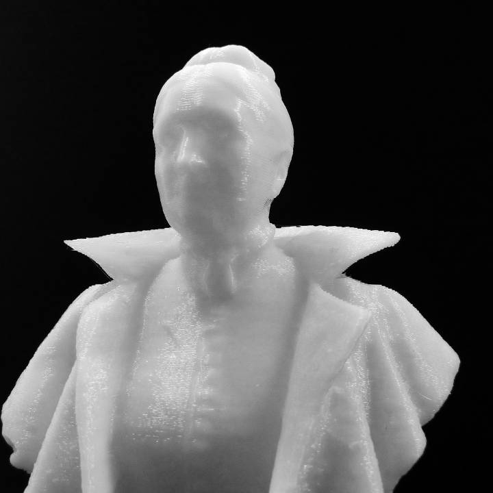 3D Printable Mary Harris Thompson at The Art Institute of Chicago ...