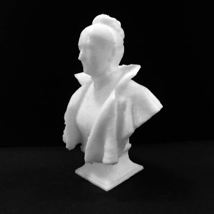 3D Printable Mary Harris Thompson at The Art Institute of Chicago ...