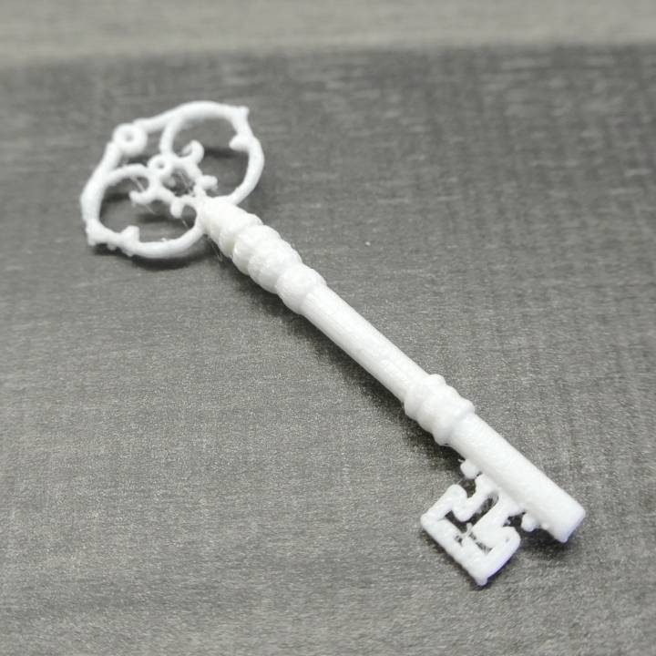 3D Printable Key by patrizia slongo