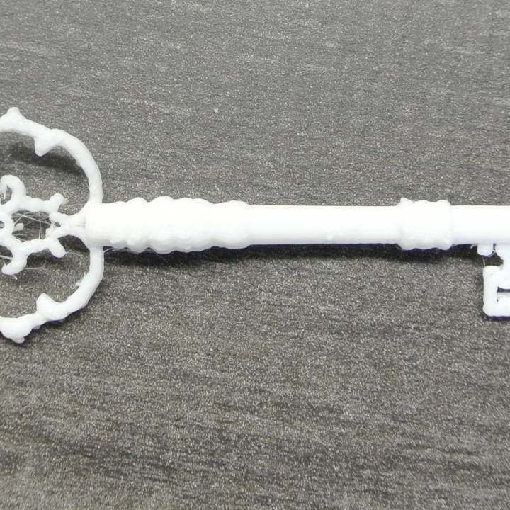 3D Printable Key by patrizia slongo