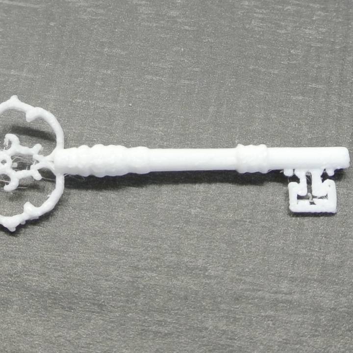 3D Printable Key by patrizia slongo