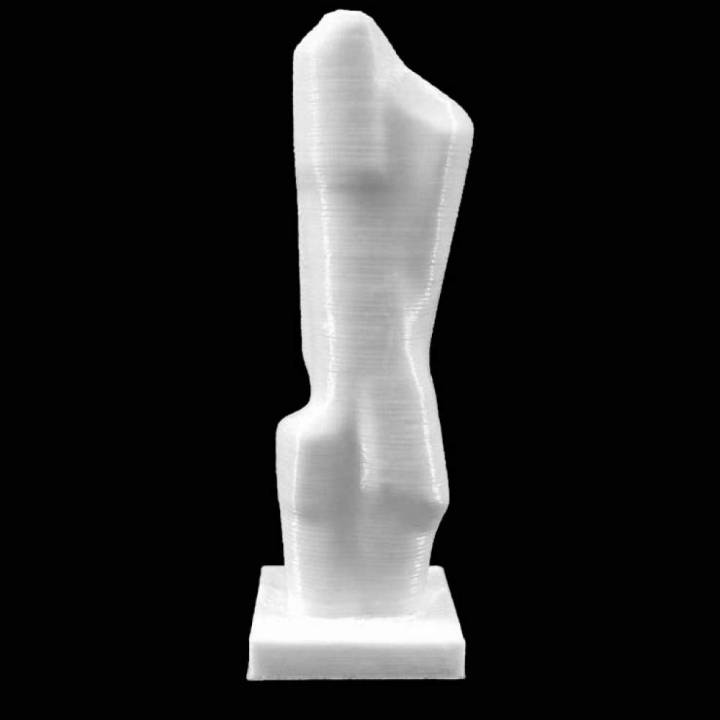 3D Printable Torso at the Middelheim Museum by Scan The World
