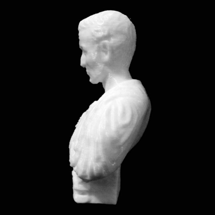 3D Printable Julius Caesar at The Metropolitan Museum of Art, New York ...