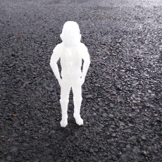 3D Printable Low-Poly Toy by Agustín Arroyo