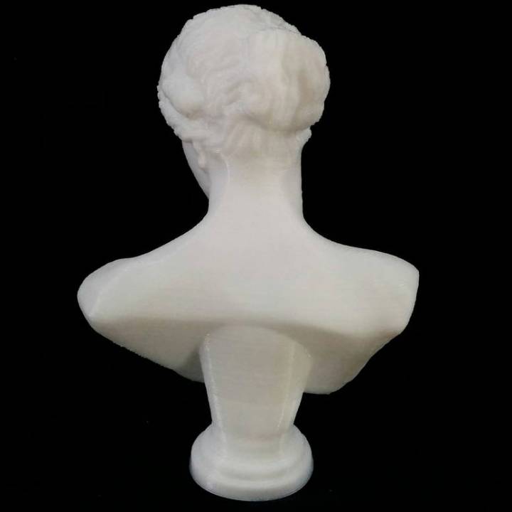 3D Printable Bust of Venus of Arles at The Louvre, Paris by Scan The World