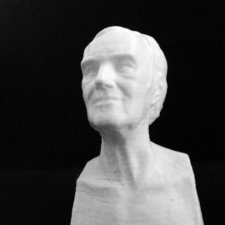 3D Printable Deliu Petroiu in Timisoara, Romania by Alban Pllana