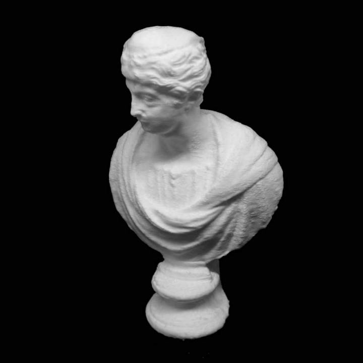 3D Printable Faustina the Elder at The Louvre, Paris by Scan The World