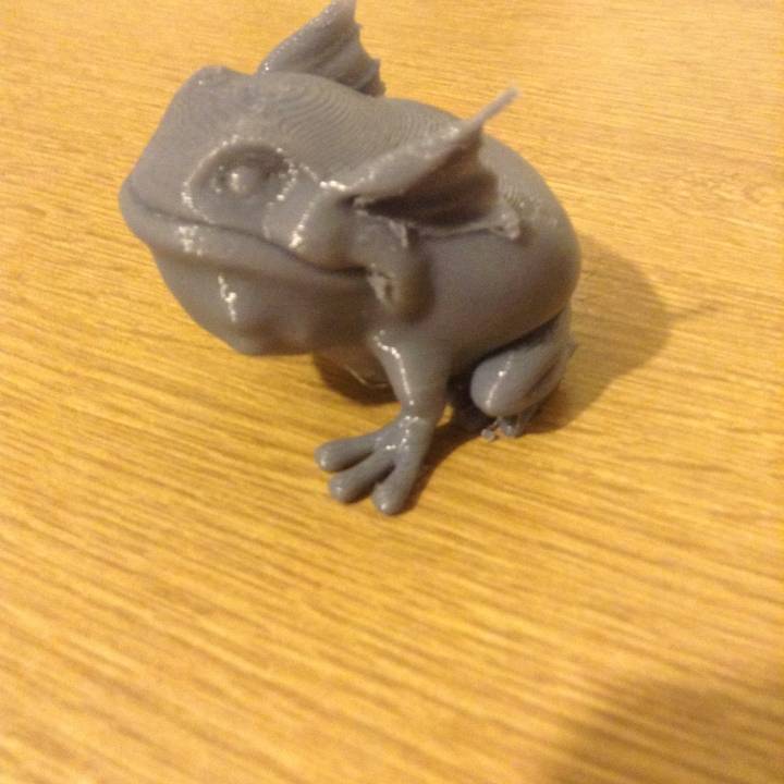 3D Printable Frog Beast by hanqilong