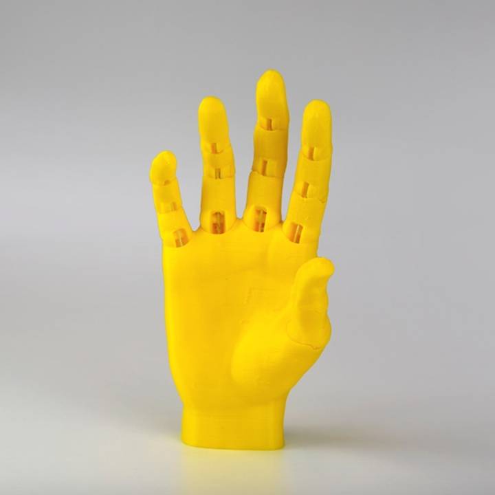 3D Printable Jointed Hand by BQ 3D