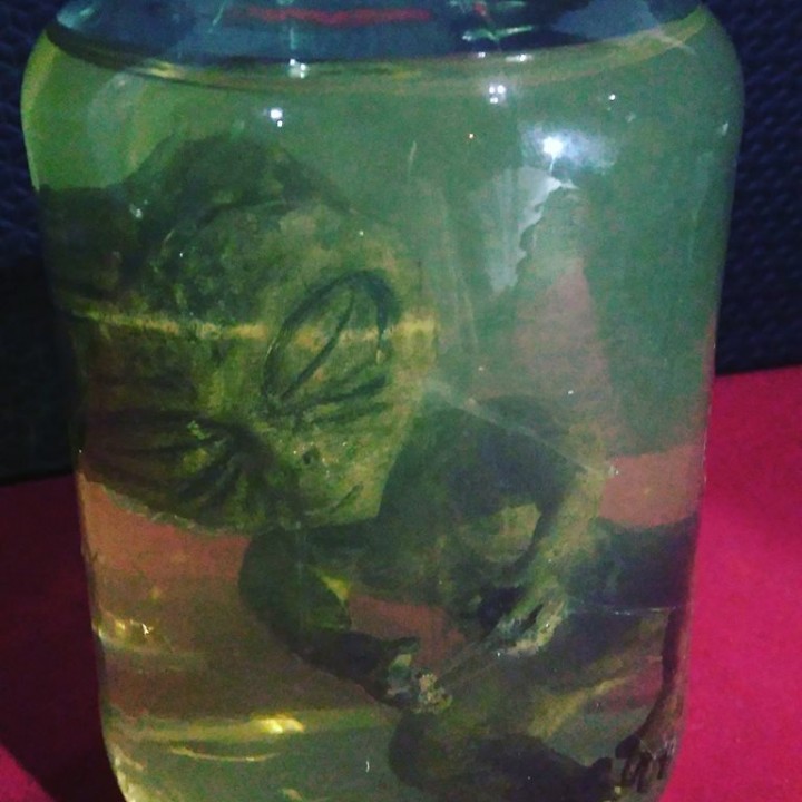 3D Print of Alien Baby Inside A Jar by RafaelBatista