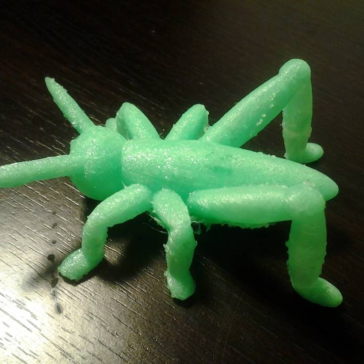 3D Printable Grasshopper (Nikoss'Insects) by Nicolas Tokotuu