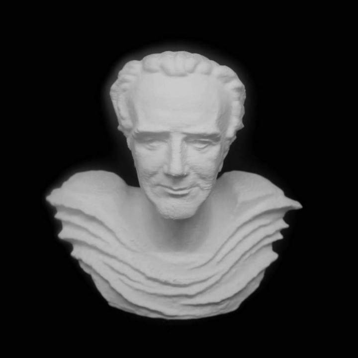 3D Printable Nicolae Boboc in Timisoara, Romania by Alban Pllana
