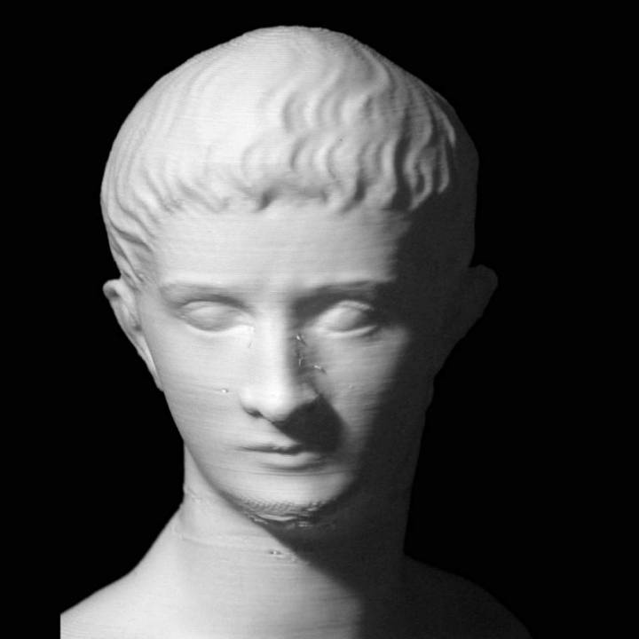 3D Printable Emperor Gaius at The Metropolitan Museum of Art, New York ...