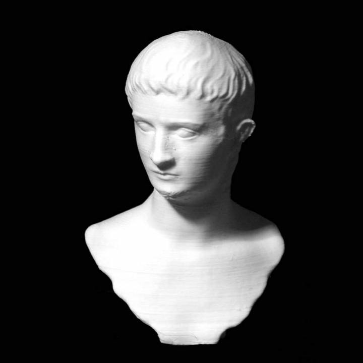 3D Printable Emperor Gaius at The Metropolitan Museum of Art, New York ...