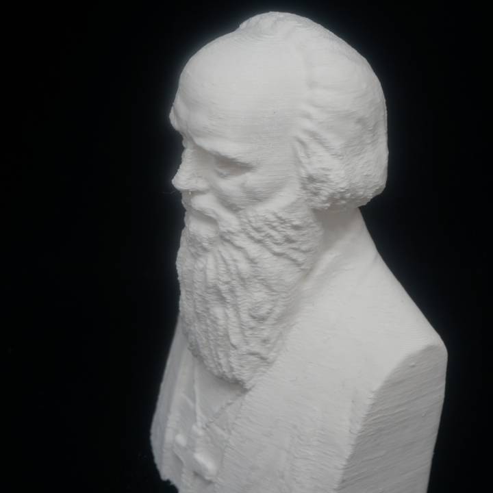3D Printable Sebastian Olariu in Faget, Romania by Alban Pllana