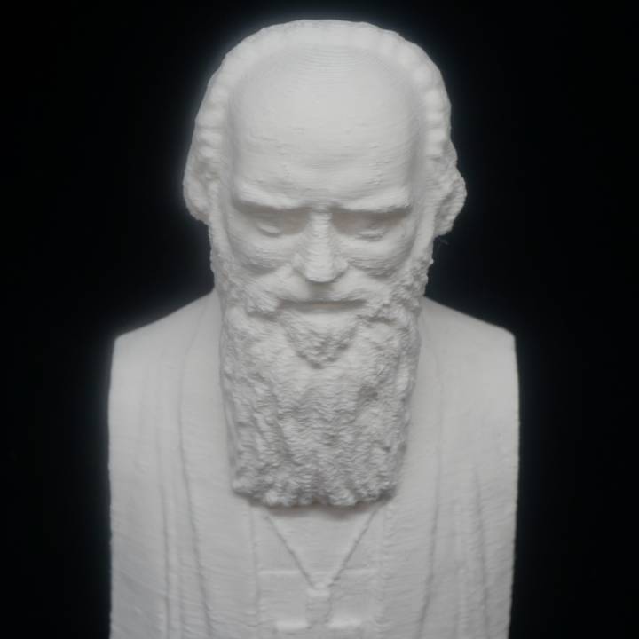 3D Printable Sebastian Olariu in Faget, Romania by Alban Pllana