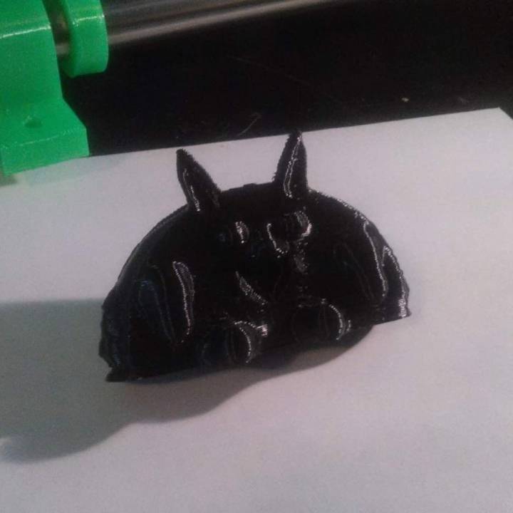 3D Printable Exploding kittens figures: Tacocat by xander brown