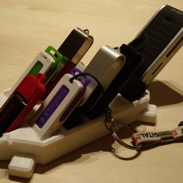 3D Printable Spino 2 USB Stick Organizer by Luis Ramirez