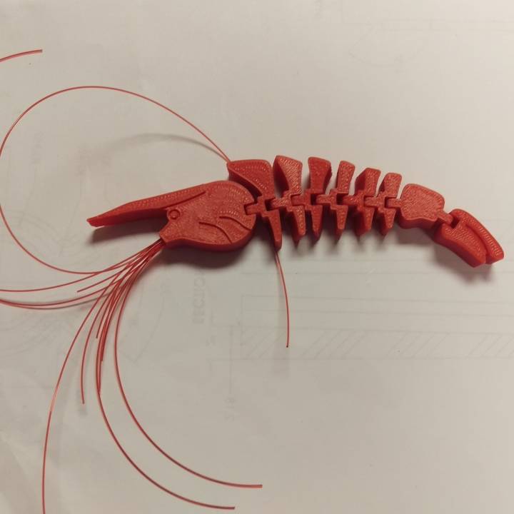3D Printable Flexi Shrimp by Chase